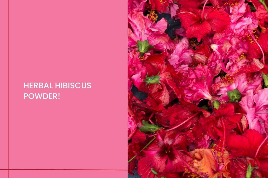 Herbal Hibiscus Powder! – Curl Care